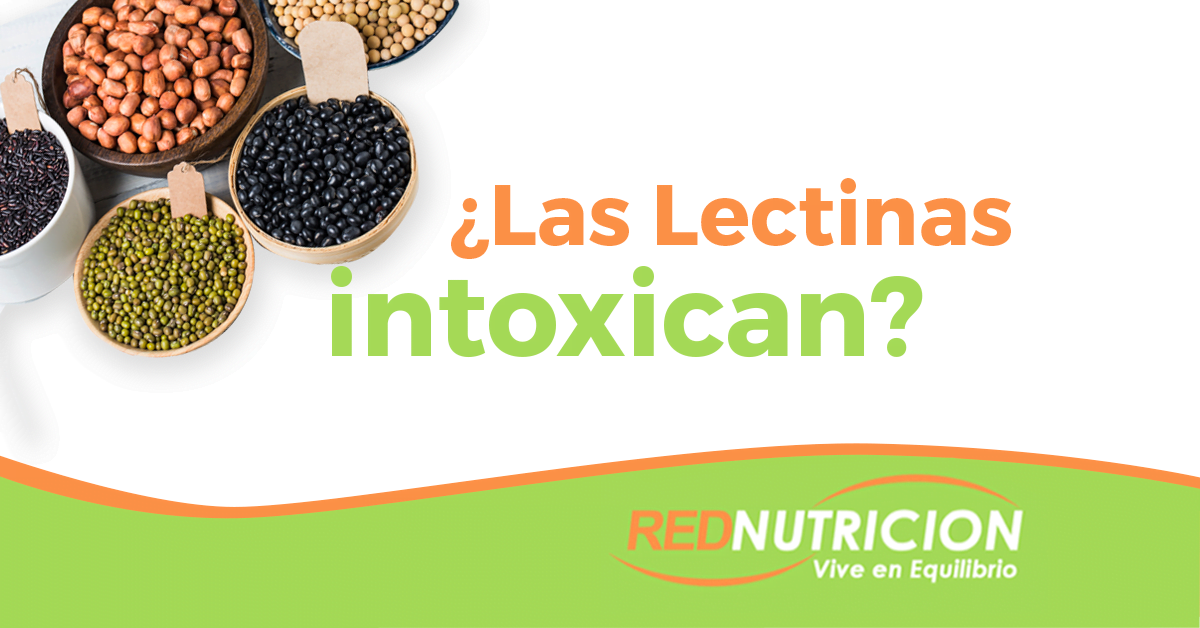 Lectinas e intoxicación alimentaria: un nuevo mecanismo de toxicidad ...